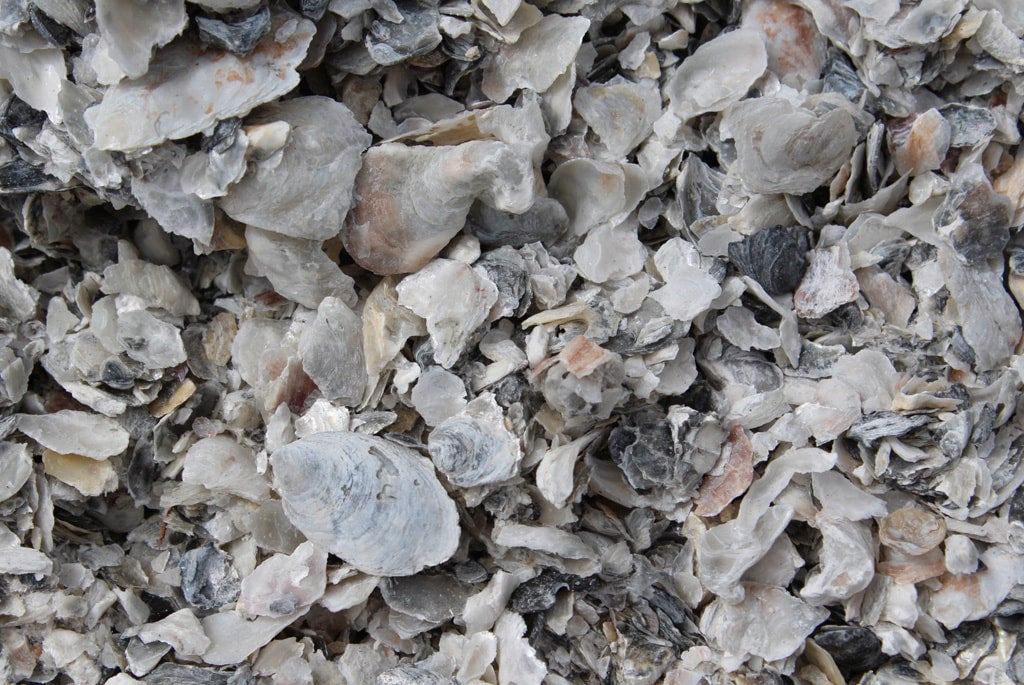 Oyster Shell | Farmette Outfitters